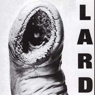 LARD - The Power of Lard LP (colour vinyl) – Strangeworld Records